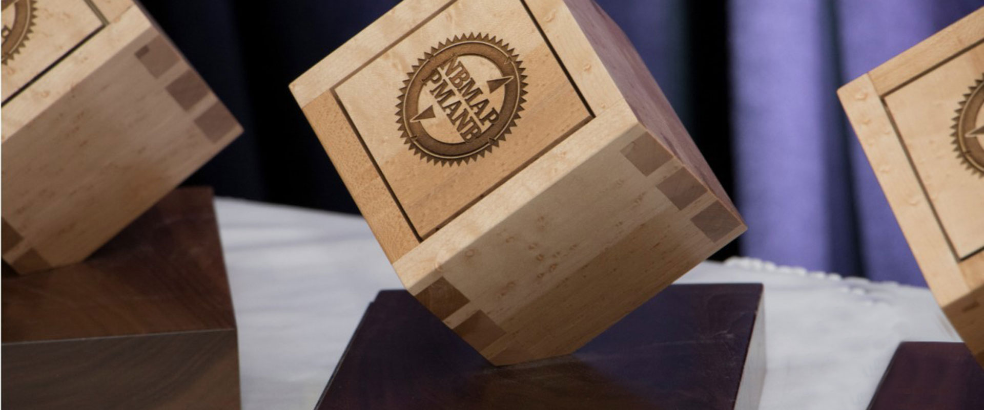 Distinction In Mentorship Awards - MAP Strategic Workforce Services